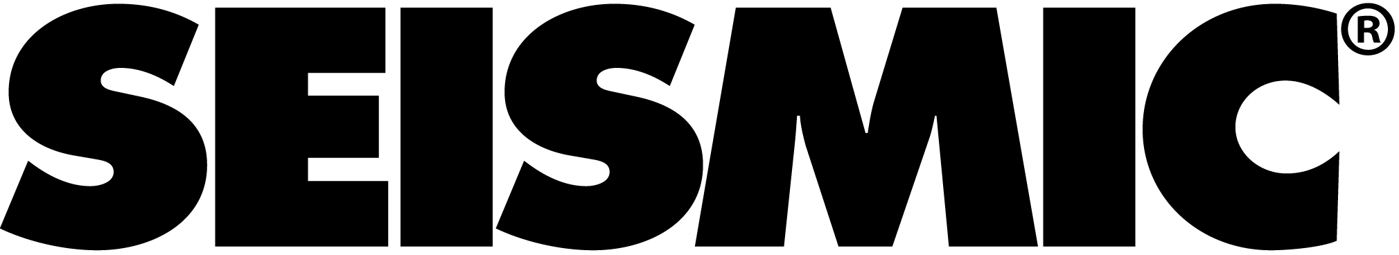 Seismic Skate Logo, Marketing Materials, and Press Kit